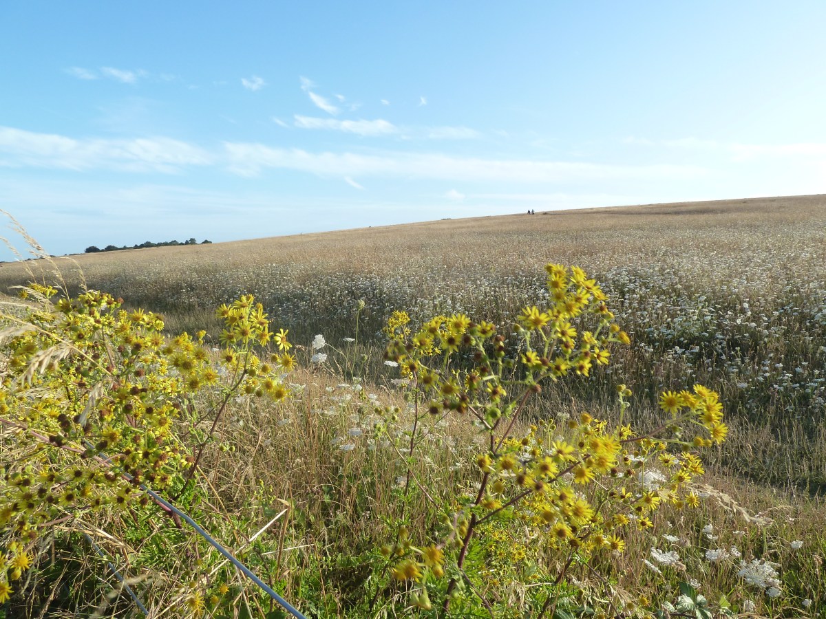 Loafing around Lewes!
