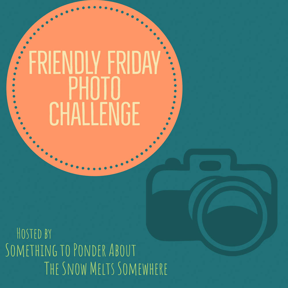 Friendly Friday Photo Challenge: Twins